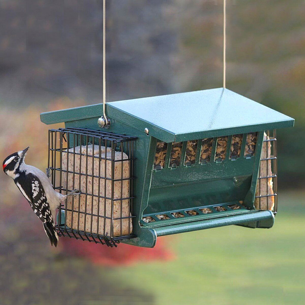 Aerial Feeding Station – Chirp Nature Center