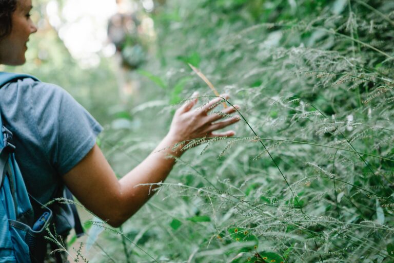 Nature: The Ultimate Stress Reliever – Chirp Nature Center