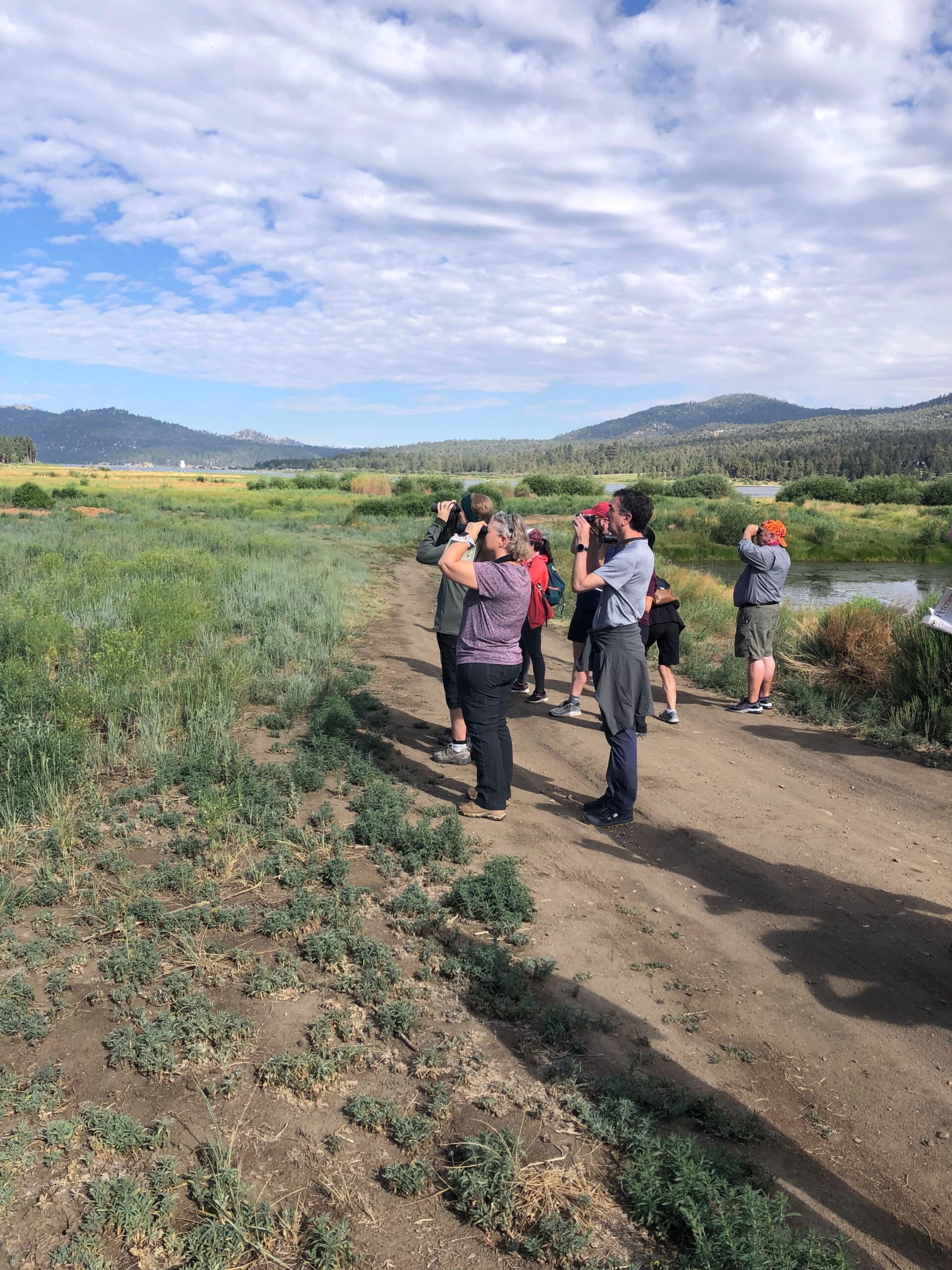 The Other Yearly Migration in Fall – Chirp Nature Center