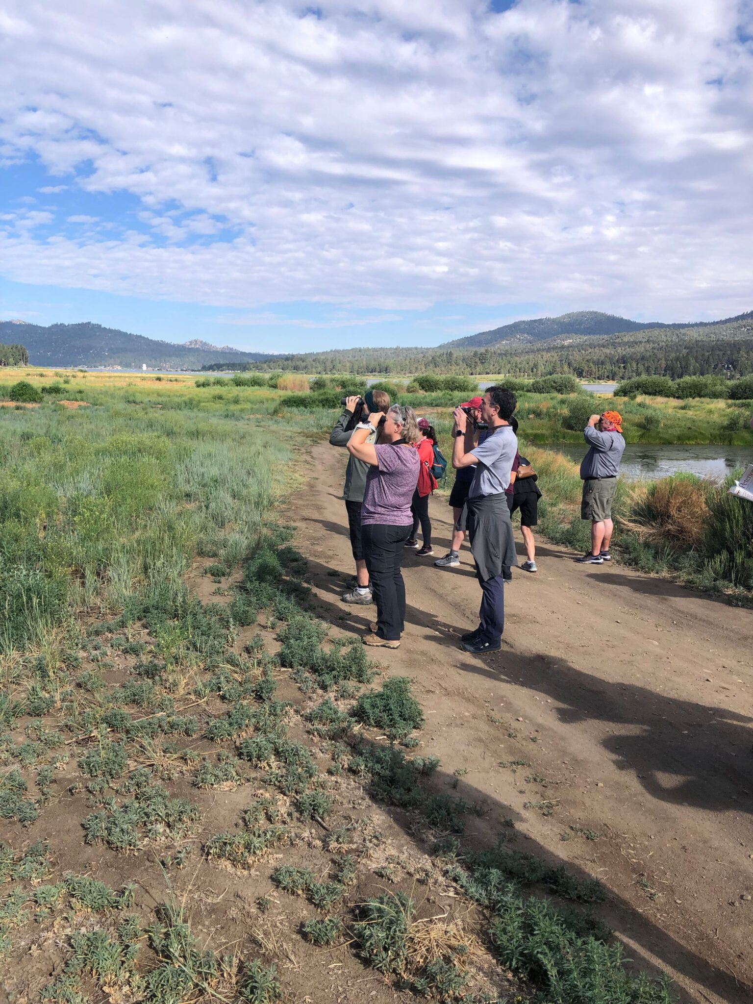 How to Birdwatch: 3 Steps to Get Started – Chirp Nature Center