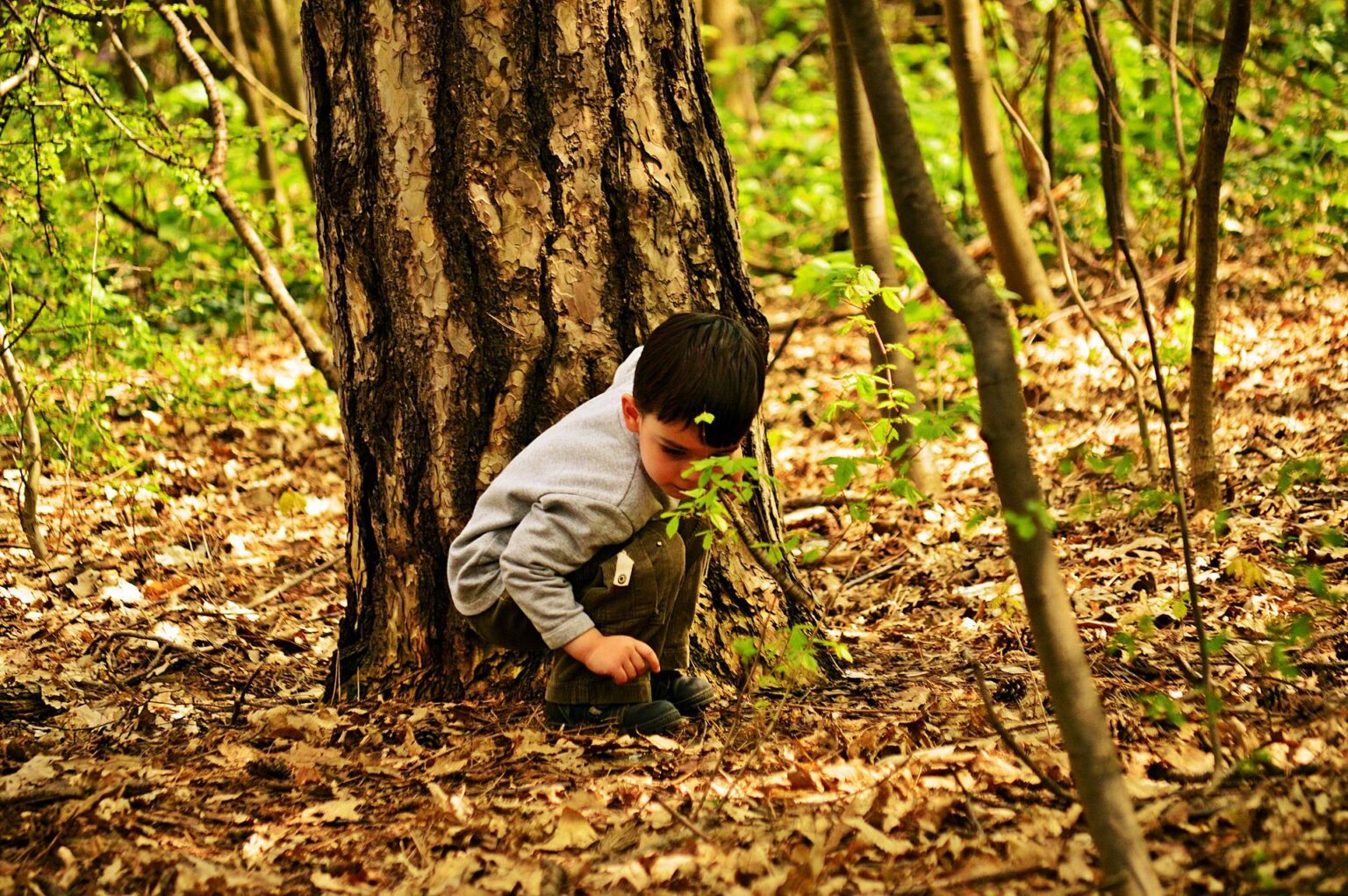 8 Fun Ways to Teach Your Kids about Birds – Chirp Nature Center