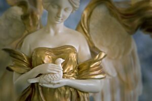 Why Doves are the Symbol of Peace and Other Dove Facts – Chirp Nature ...
