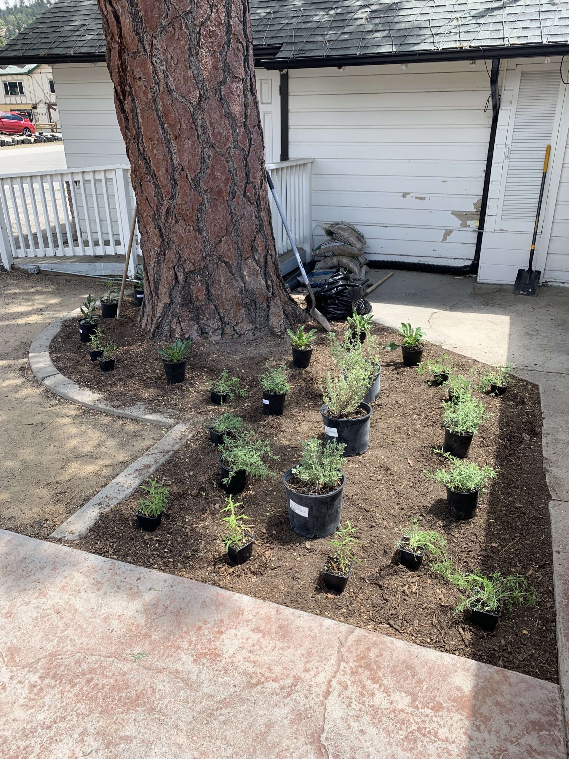 Welcome To Chirp’s Native Plant Garden – Chirp Nature Center
