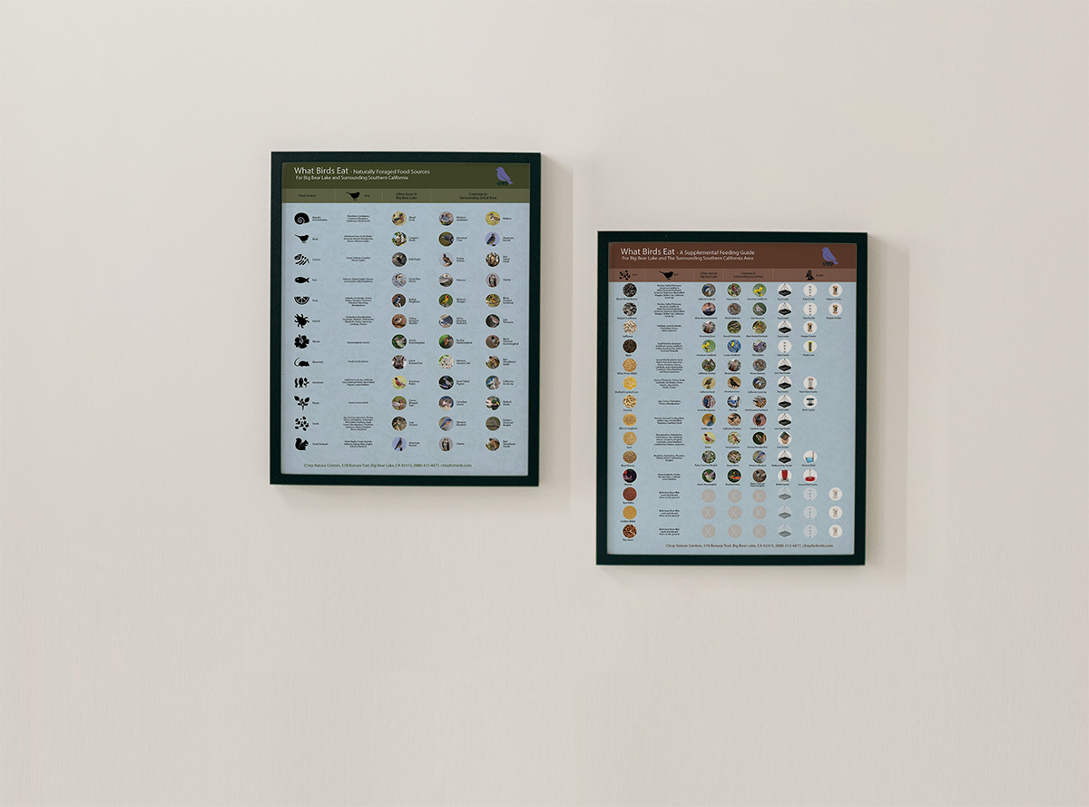 Get your Free Poster – What Birds Eat – Chirp Nature Center