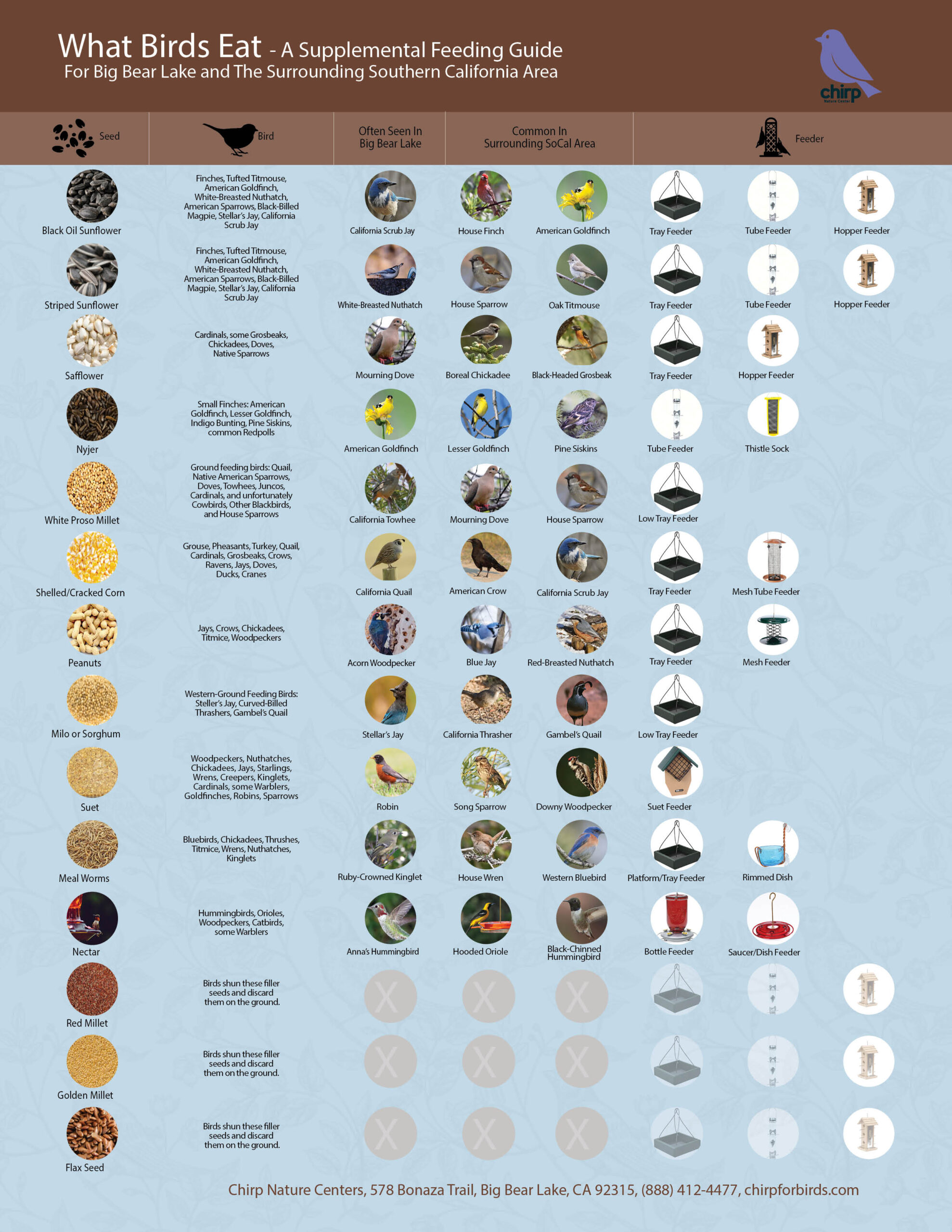 Get your Free Poster – What Birds Eat – Chirp Nature Center