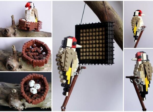 Building Birds with LEGO (Bird Note: 12/20/25) – Chirp Nature Center